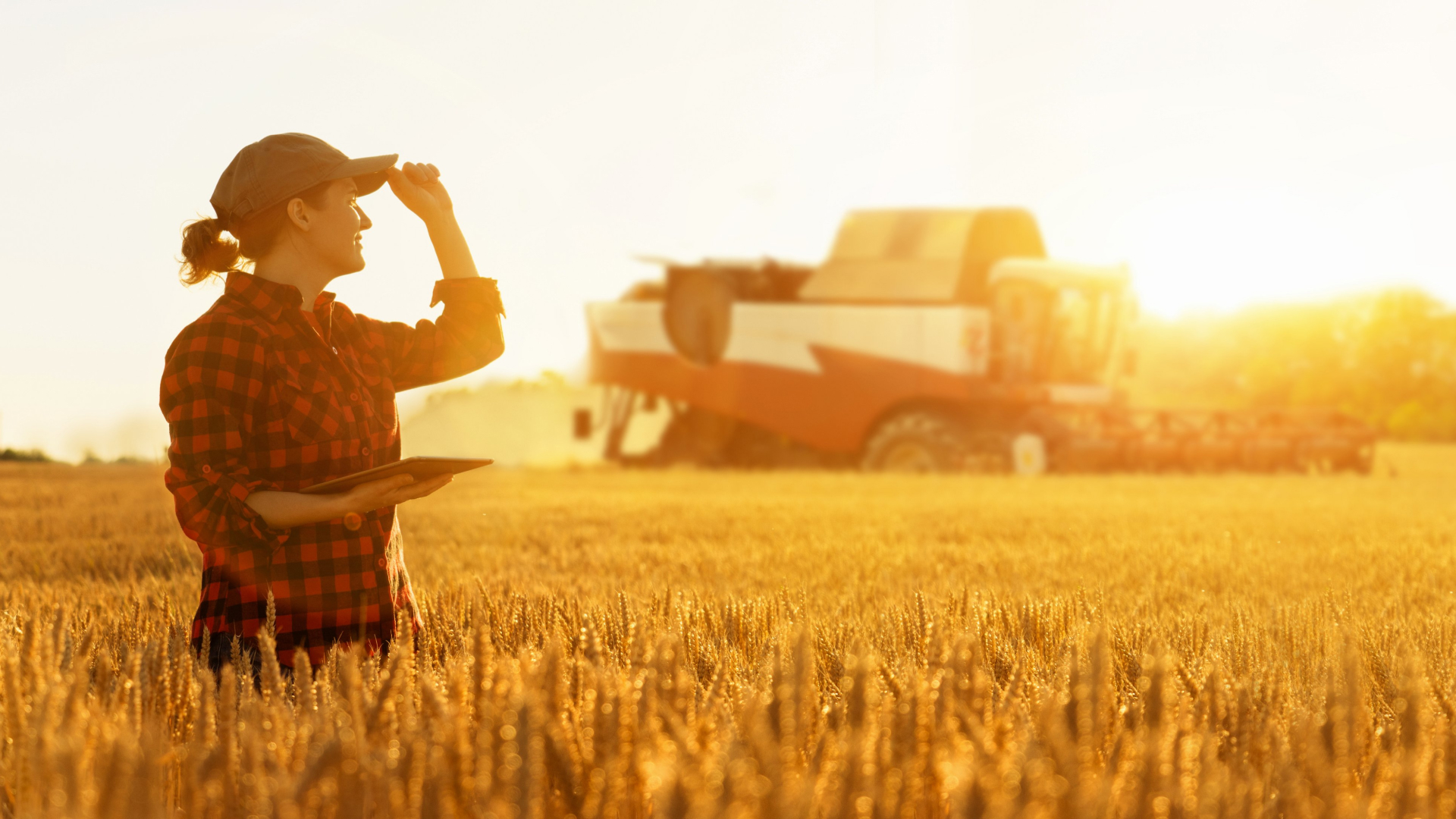 Farmers Guide Case Study - Unity Online